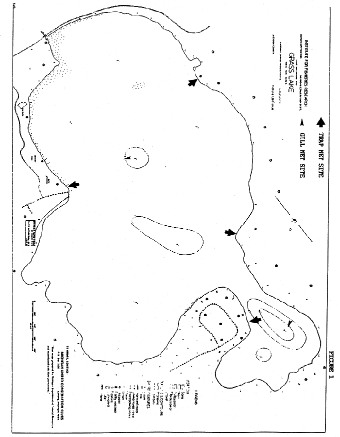 Grass Lake, Jackson County, MI